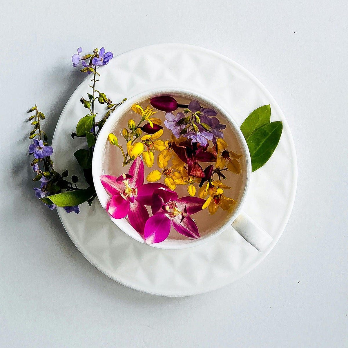 Tea – Tom's Grocery